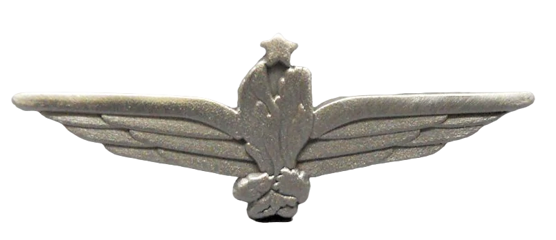 Captain Lapel Pin – CR Smith Museum Store